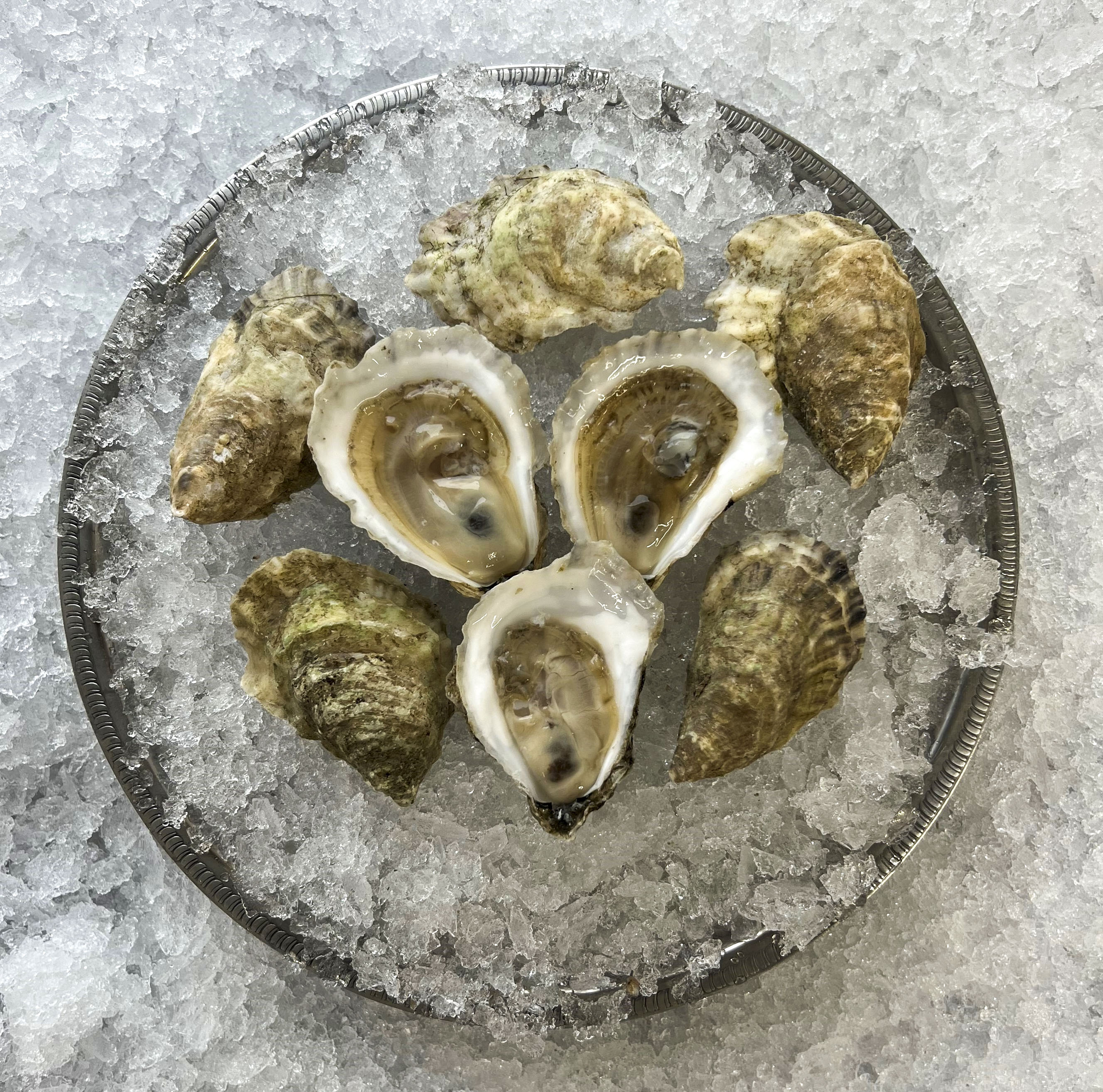 Hearts Desire — Oysterology Online | Pangea Shellfish Company